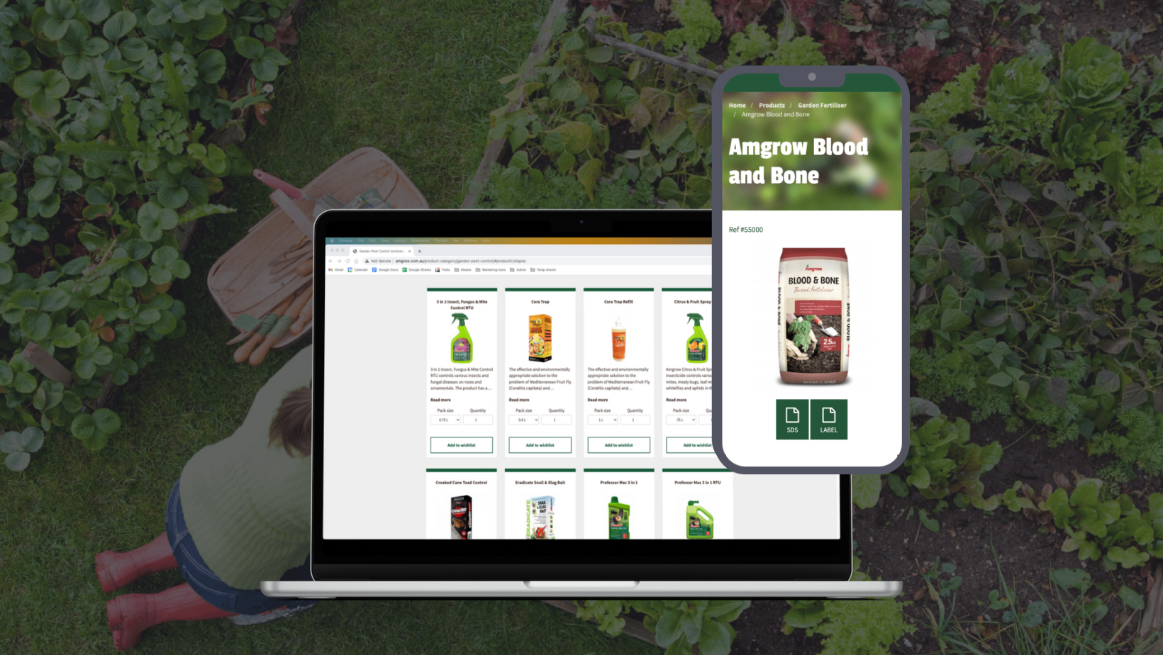 Bespoke website and CMS development: Amgrow | Case Study