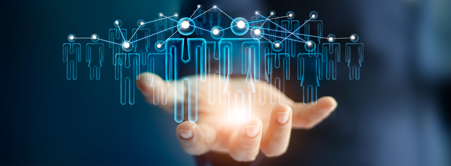 Working as a web developer | Team augmentation | 4mation