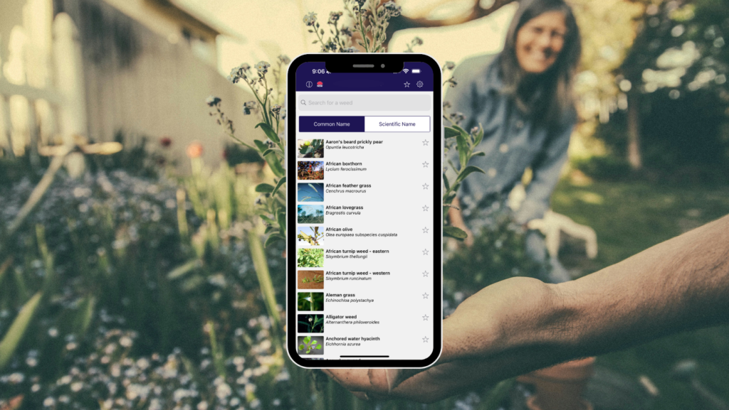 Revitalising a Vital Government Resource | Case Study | 4mation